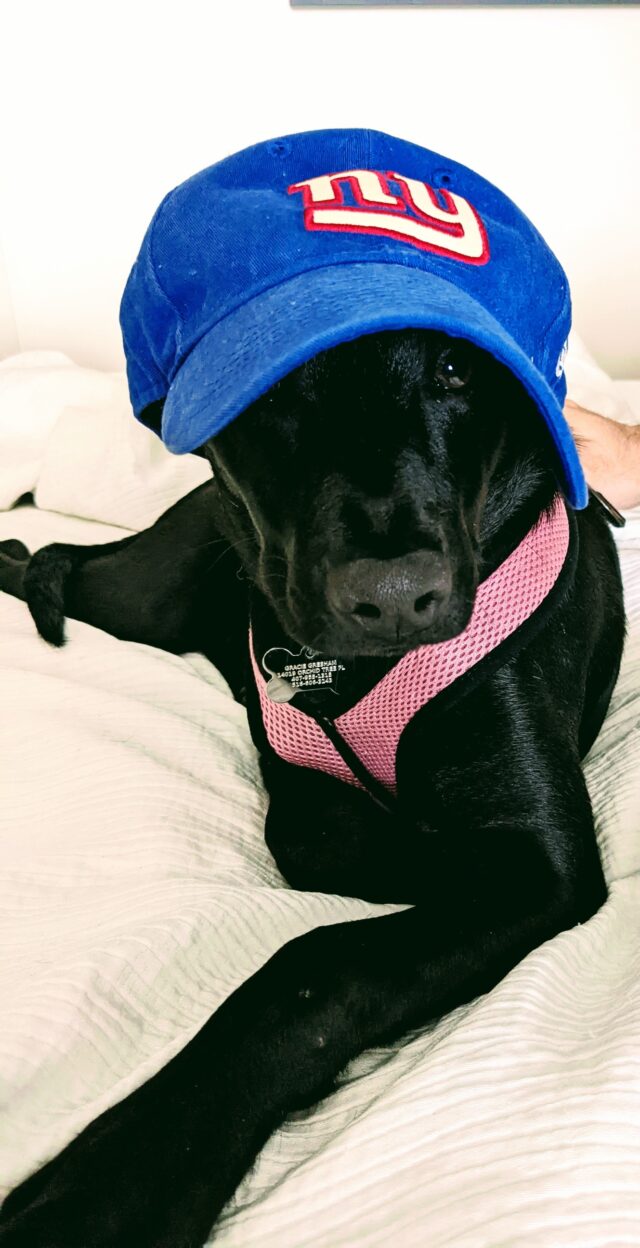 Pets of ELC! - Kirson & Fuller